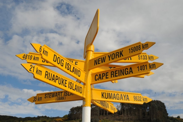 IPAG Expat Day | IPAG Alumni